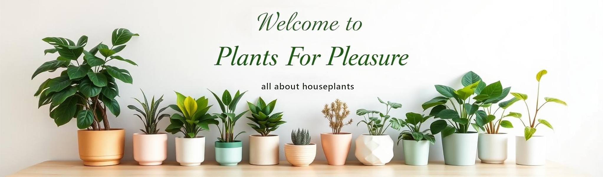 Plants For Pleasure - Indoor Plants Guides, Rescue, Tips